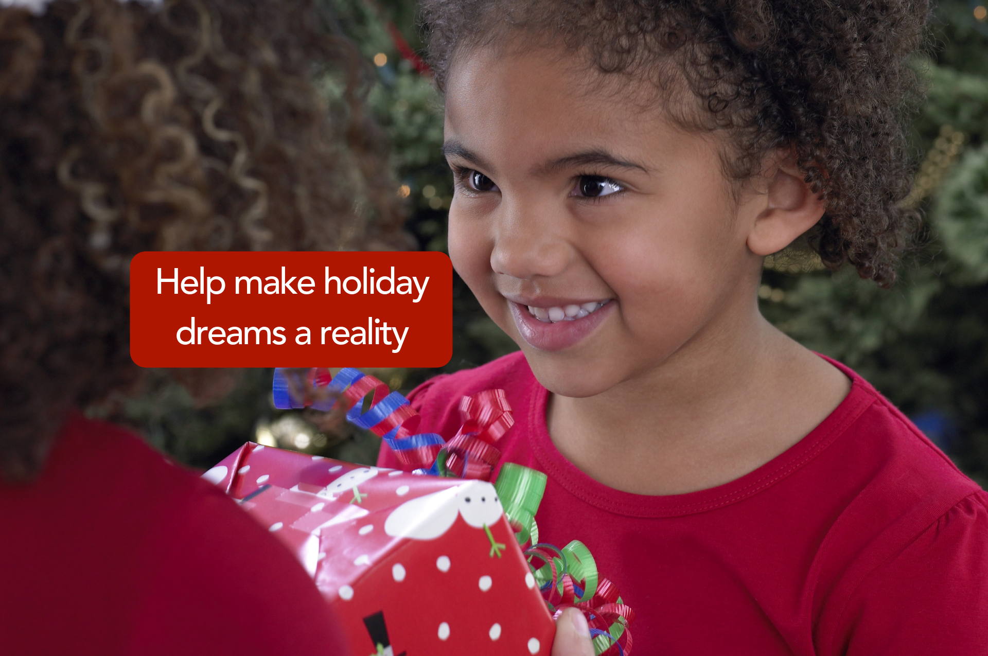 Holiday Giving Program